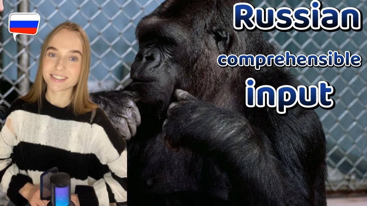 Koko Gorilla (Pre-intermediate Russian Comprehensible Input) - YouTube