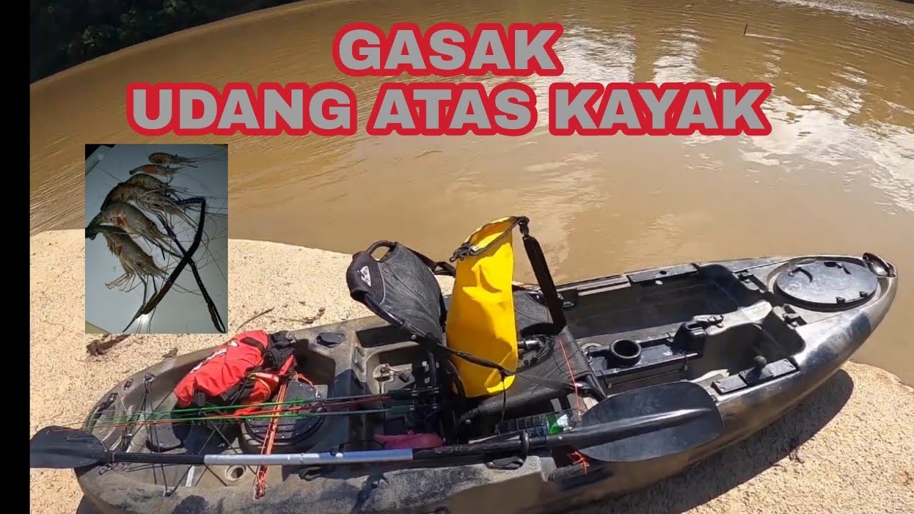 MEMANCING UDANG GALAH DENGAN KAYAK DI SUNGAI PAHANG JERANTUT - YouTube