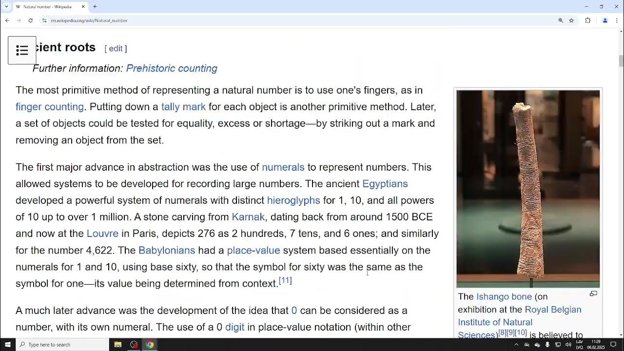 Programming Languages - Primitive Data Types, Integers, Floats 2025 02 06 11 18 10 - YouTube