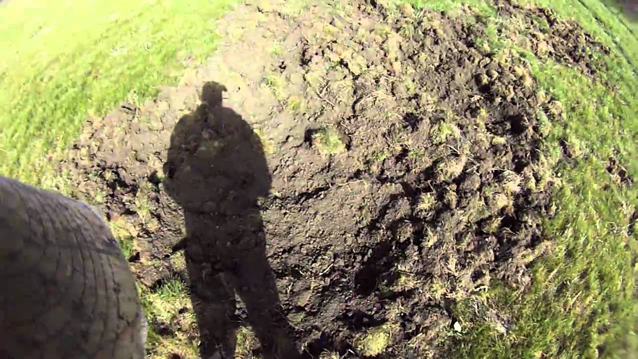 Damage Caused by Feral Hog Rooting - YouTube