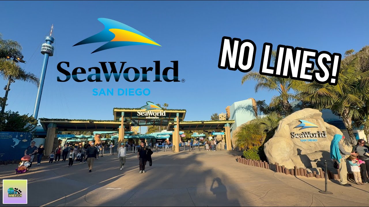 Our SUPER EMPTY Day at Seaworld San Diego! - YouTube