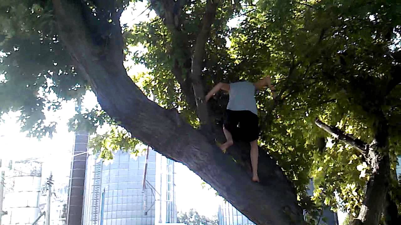 ME JUMPING OUT OF TREE - YouTube