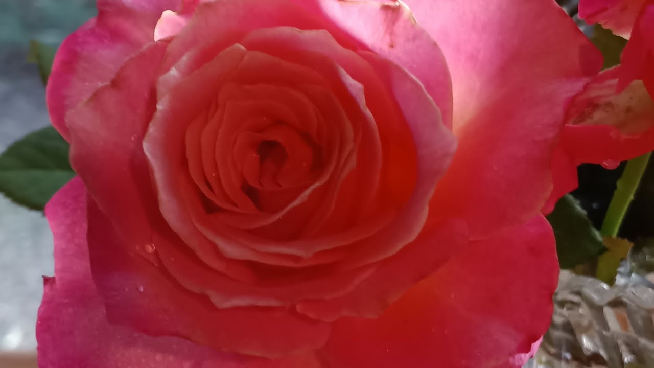 Angels Say Infinite Love Is Abundance - YouTube