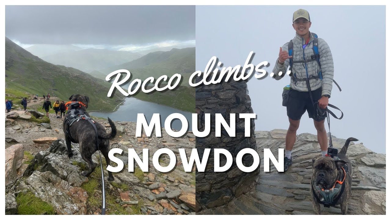 HIKING SNOWDON WITH MY DOG | Rocco climbs... MOUNT SNOWDON - YouTube
