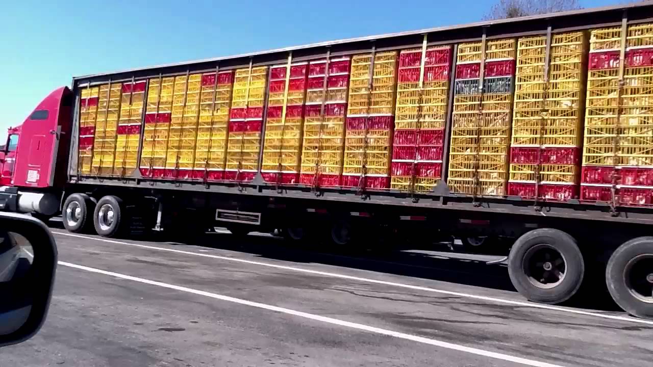 Truckload of Chickens - YouTube