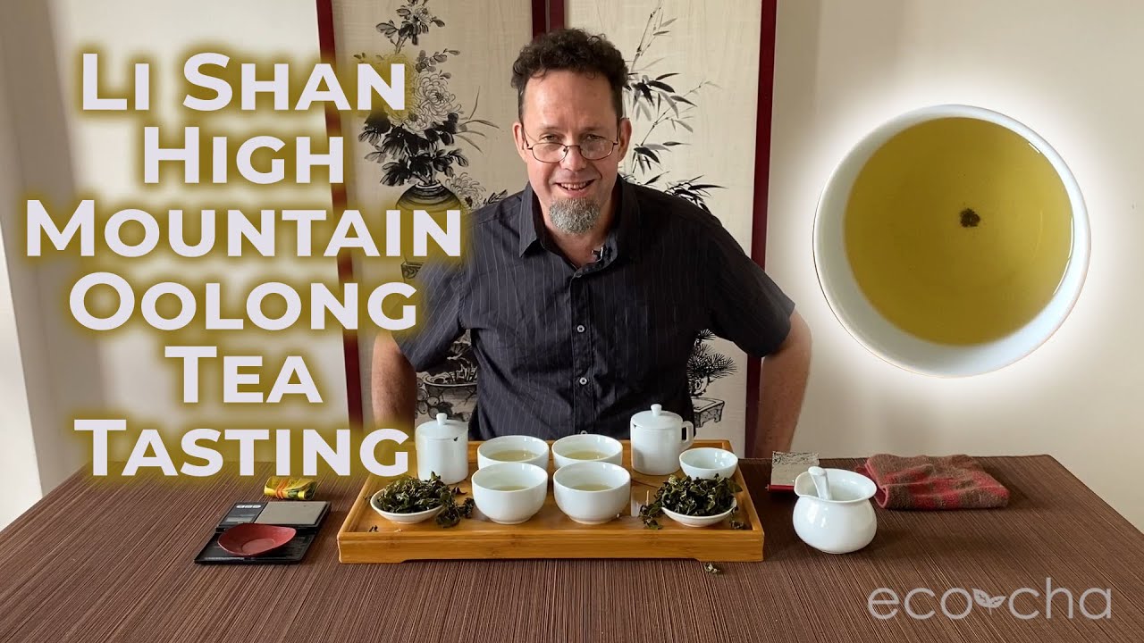 Fall Li Shan High Mountain Oolong Tea Tasting | Eco-Cha Teas - YouTube
