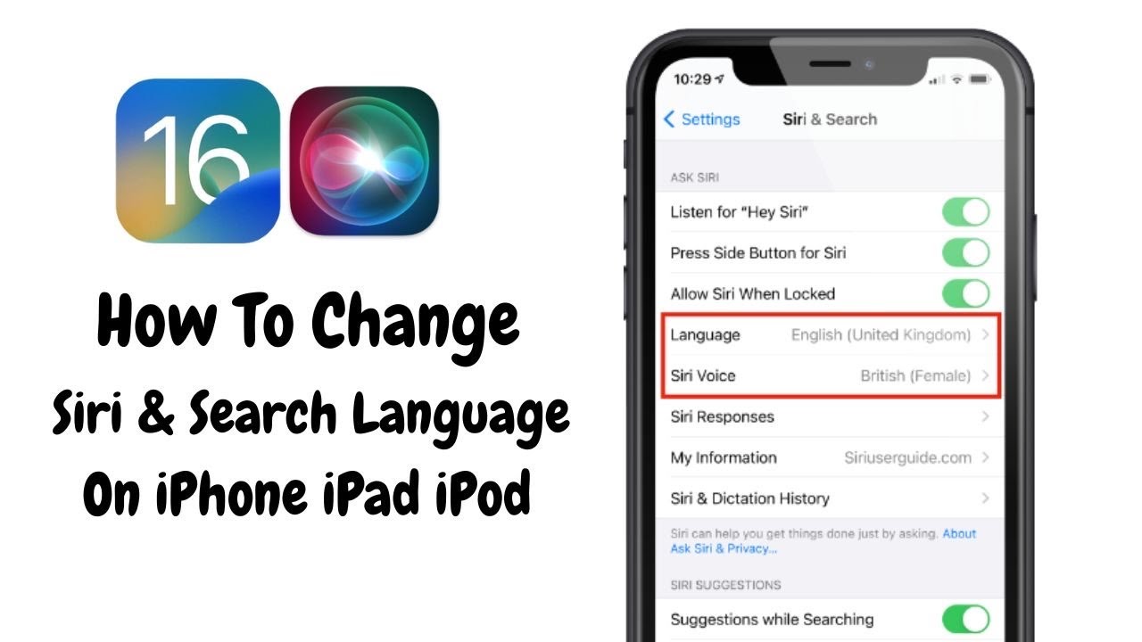 IOS 16 How To Change Siri & Search Language On iPhone iPad iPod - YouTube