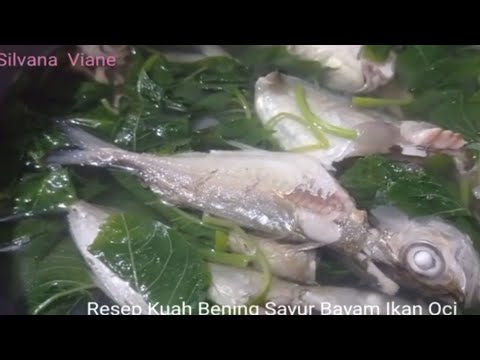 Resep Kuah Bening Sayur Bayam Ikan Oci - YouTube