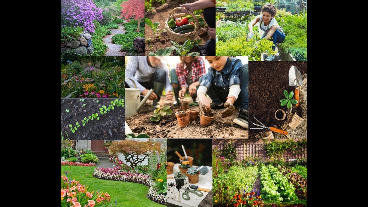 July 9 2023 Edinboro United Methodist Sunday Service - Guest Speaker Dr ...