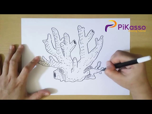 How To Draw A Coral Reef Step By Step For Kids