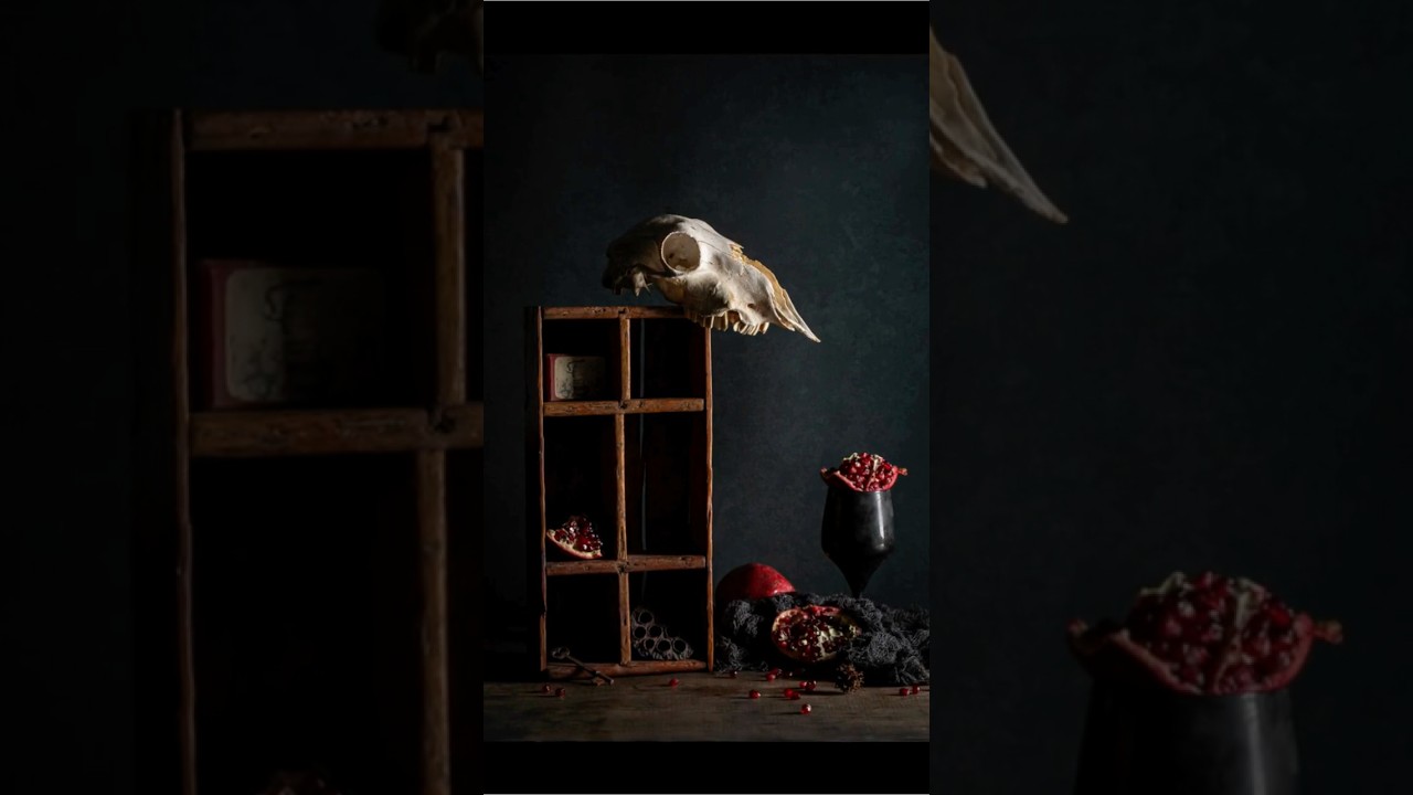 Creepy Still Life Photography Still Life With Human Skull And Dry