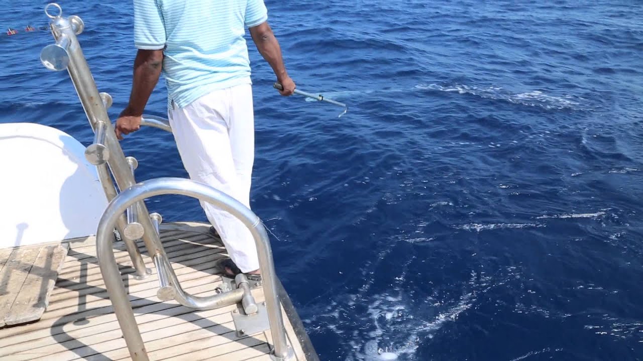 Hurghada fishing trip 14-15-16 July 2015 - YouTube