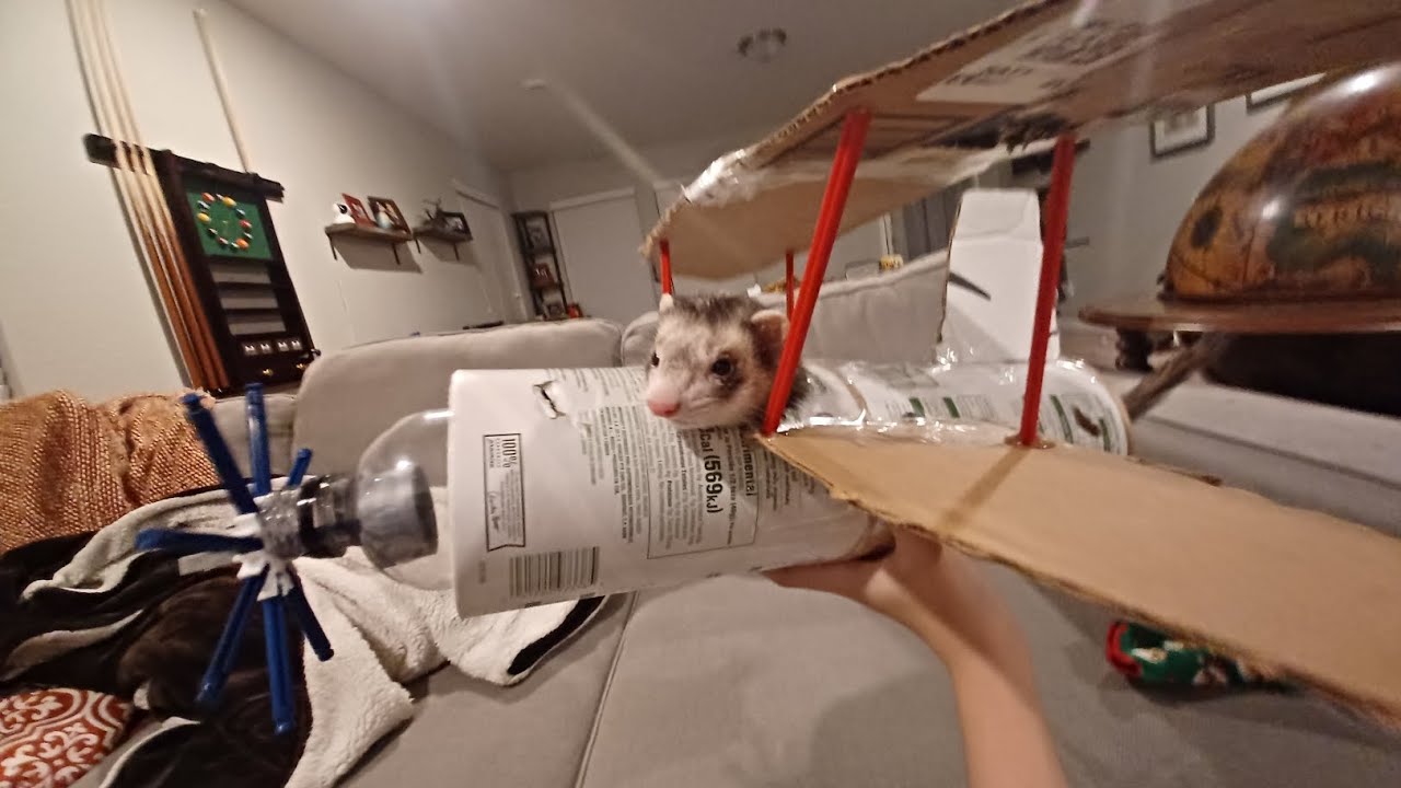 ferret plane 2000 test - YouTube