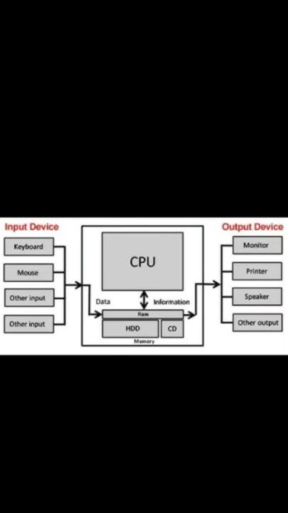 CPU input device output device #computer #computereducation - YouTube