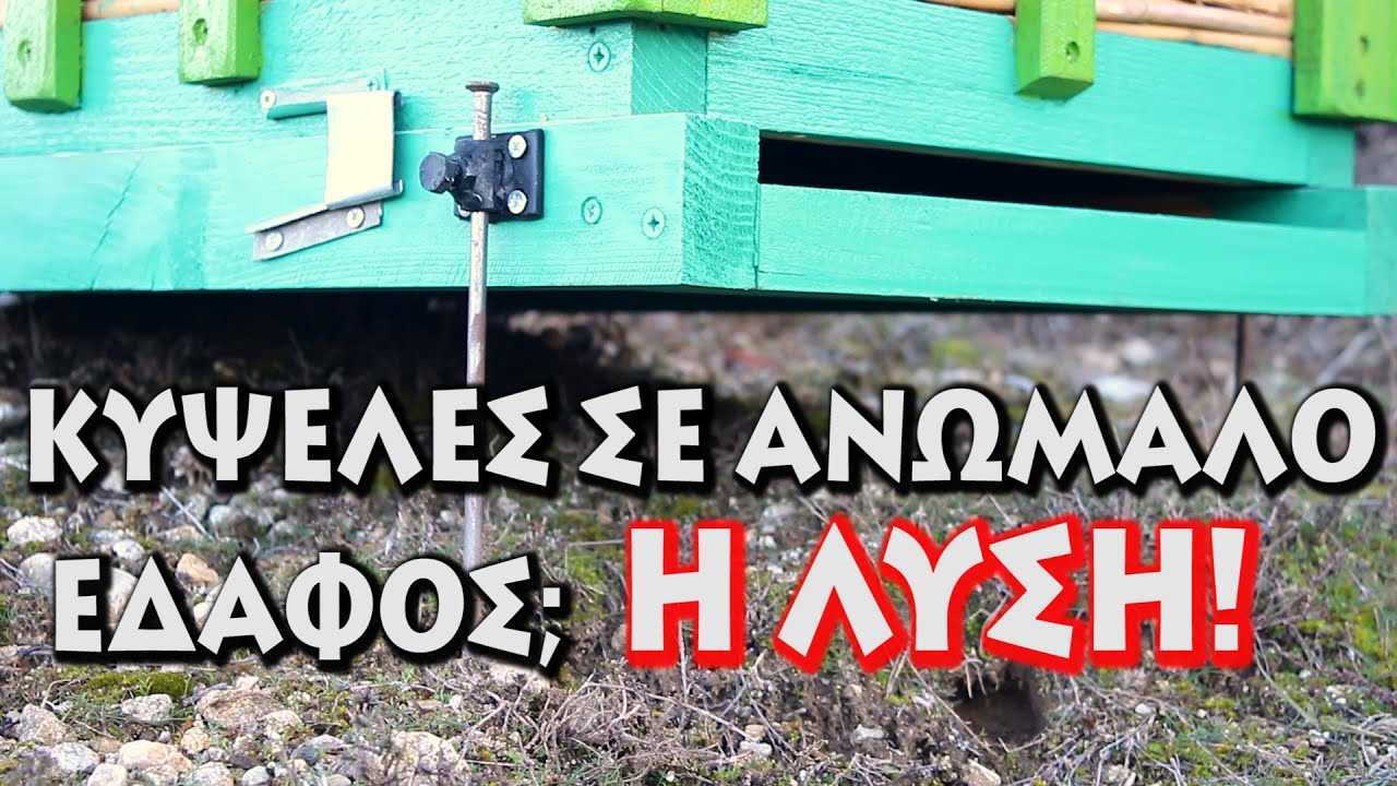 Ποδαράκια κυψελών για ανώμαλο έδαφος! Η κατασκευή βήμα προς βήμα! - YouTube