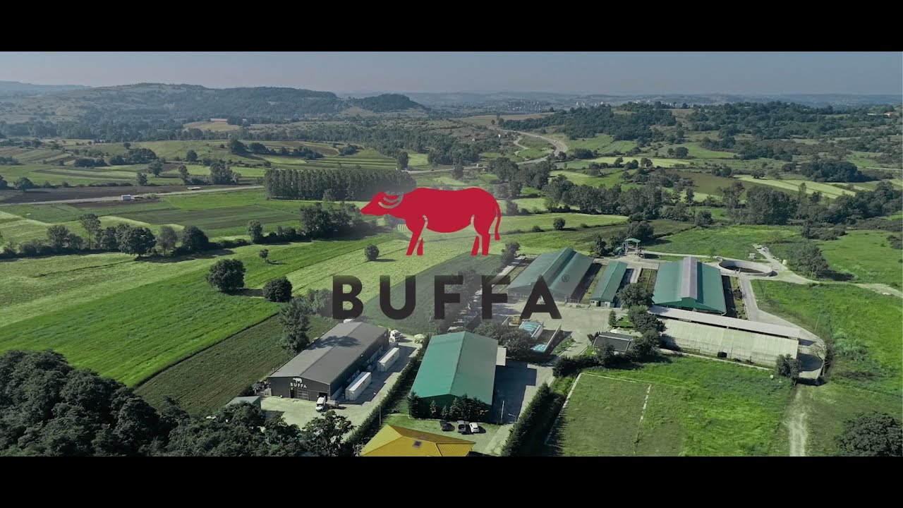 Buffa - YouTube