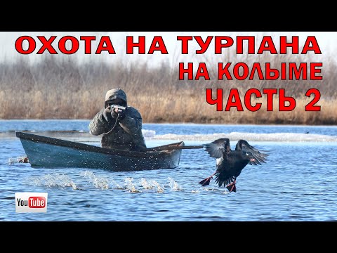 ОХОТА НА ТУРПАНА НА КОЛЫМЕ ЧАСТЬ 2. ОХОТА НА УТКУ В ЯКУТИИ. DUCK HUNTING IN SIBERIA
