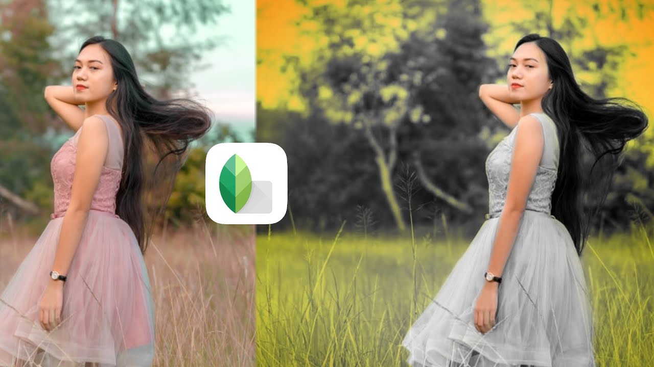 Snapseed Photo Editing || Colour Background || Tutorial Editing ...