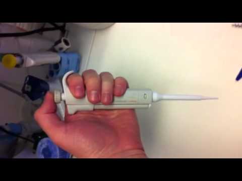 How to hold a pipette - YouTube