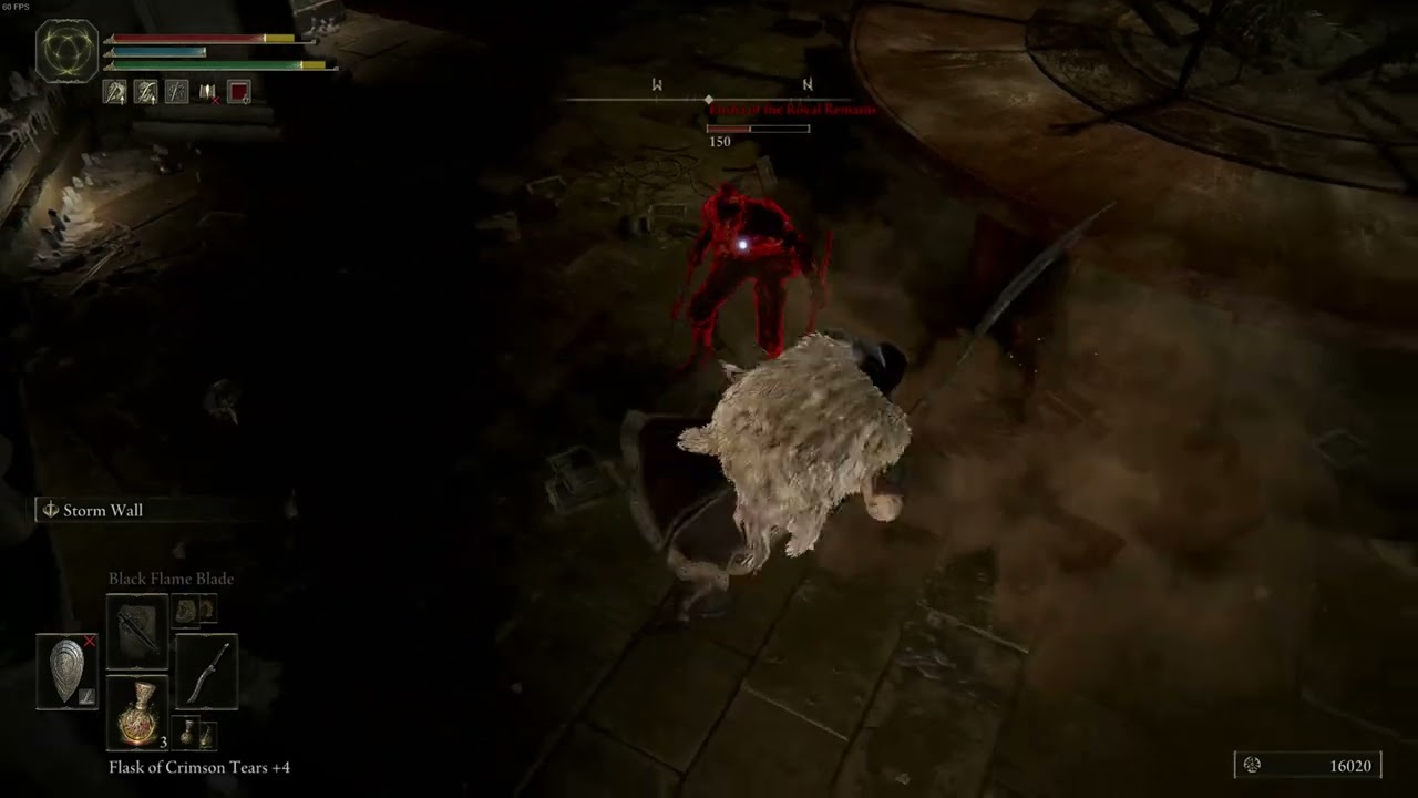 Ensha of the Royal Remains - NPC Fight - YouTube