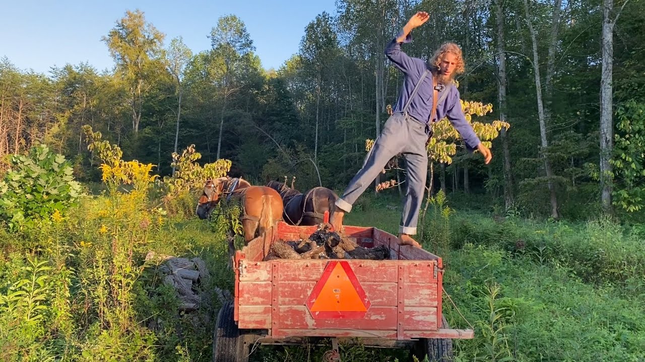 Homesteading: Bringing in the Firewood 🔥🪵 | Titus Morris’ Henson Creek ...