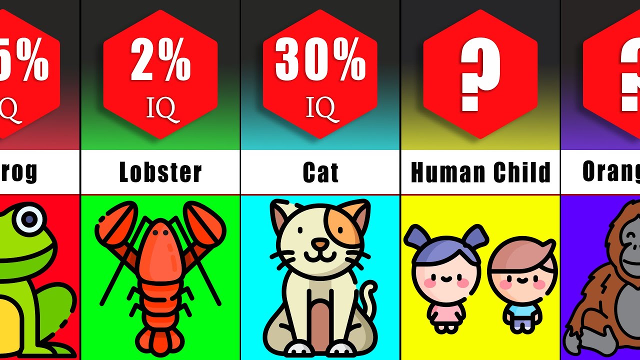 Comparison: Animal IQ Levels 🧠 (Some Outsmart Humans!) - YouTube