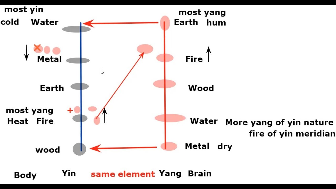 Five Element Theory of Acupuncture - YouTube