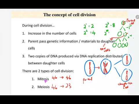 3.0 Introduction to Cell Division - YouTube
