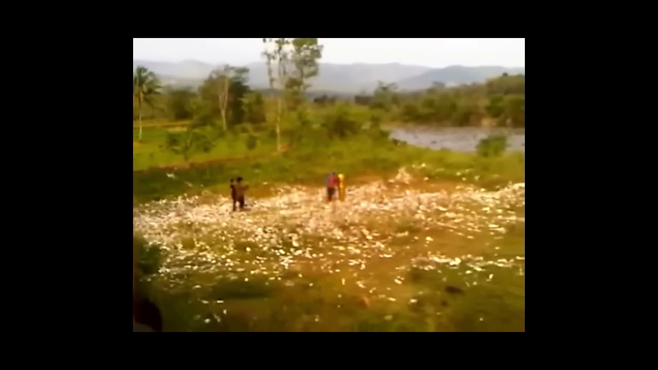 tragedi Pemalang 2013 - YouTube