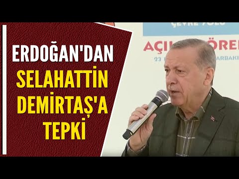 ERDOĞAN'DAN SELAHATTİN DEMİRTAŞ'A TEPKİ