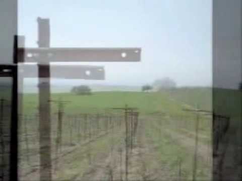 Alma Sol Winery, Cuevas Vineyard Cabernet Sauvignon - YouTube