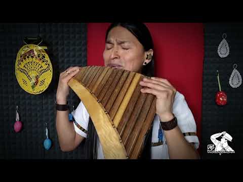 Pescador De Hombres | Barca | Instrumental Music by FS Wuauquikuna #share #follow #barca #panflute