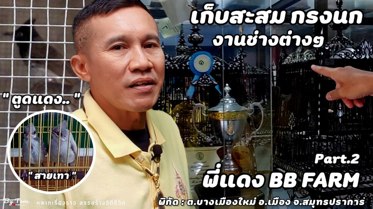 บุกฟาร์ม | นกกรงหัวจุกแฟนซี(พี่แดง BB FARM)ลูกนกตูดแดงที่ออกมา/และเก็บสะสมกรงนกงานช่างต่างๆ ...