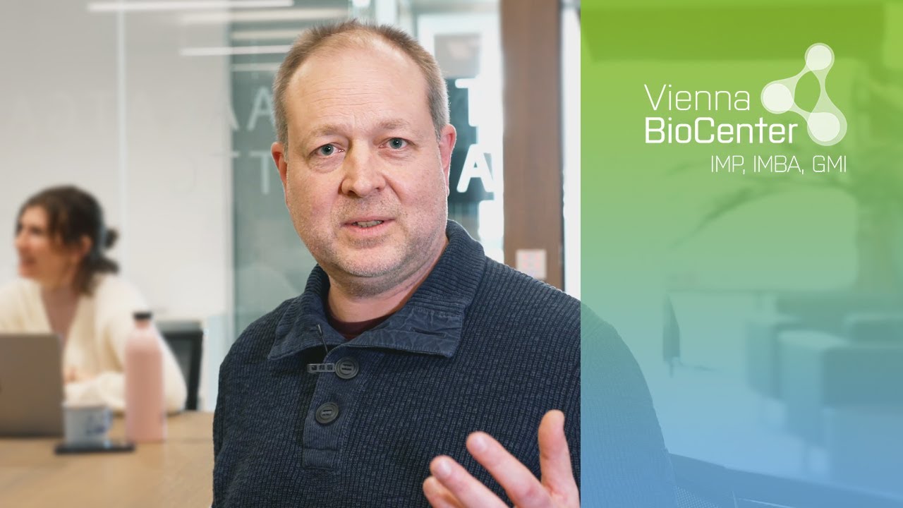 Alexander Stark | Scientist Snapshot | IMP, Vienna BioCenter - YouTube