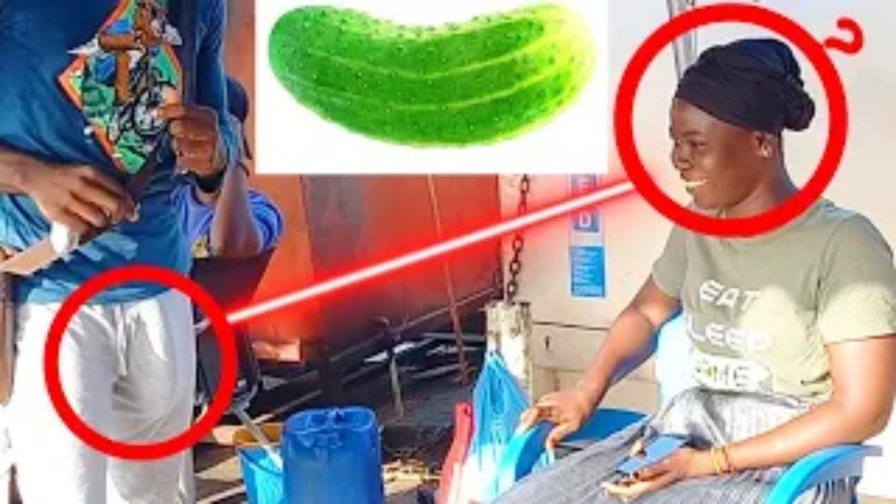 QUCUMBER PRANK 🥒 🤣🤣🤣. MUST WATCH. VERY HILARIOUS - YouTube