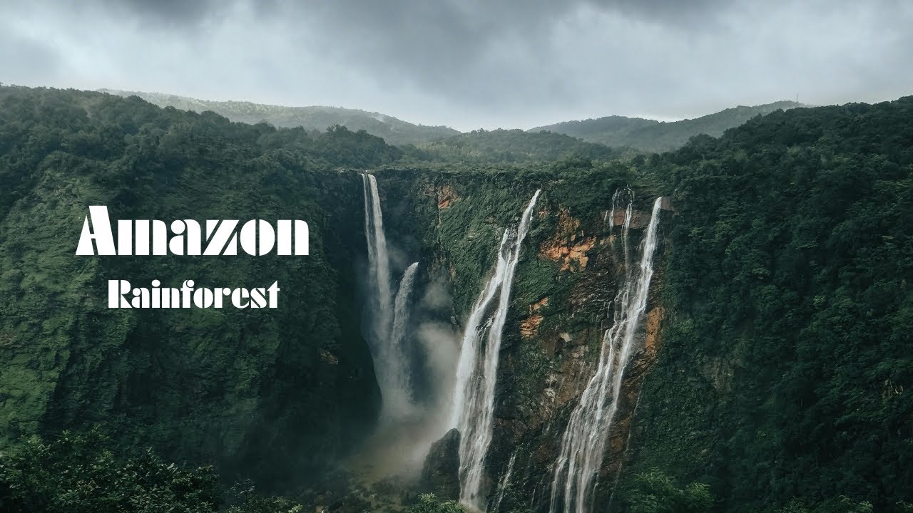 AMAZON Rainforest 4K - The World's Largest Tropical Rainforest ...