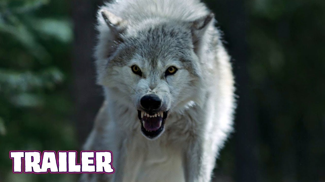 OUT COME THE WOLVES (2024) Official Trailer (HD) SURVIVAL HORROR - YouTube