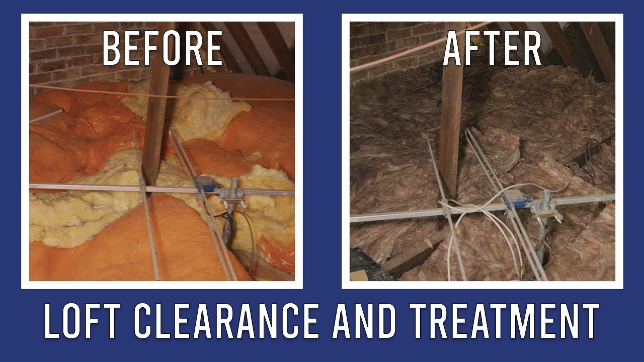 Loft Clearance and Treatment - YouTube