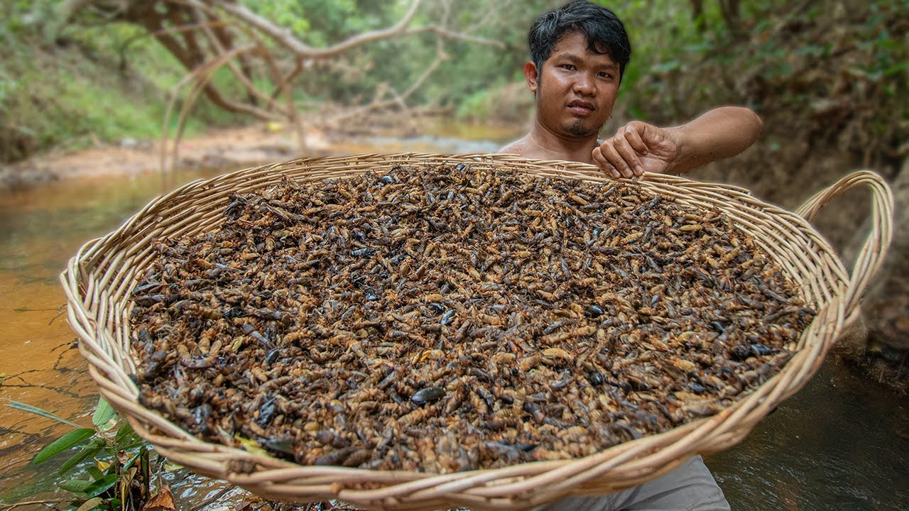 Wow! Cooking 100 Million Insects & Eating Delicious Insects Food - YouTube