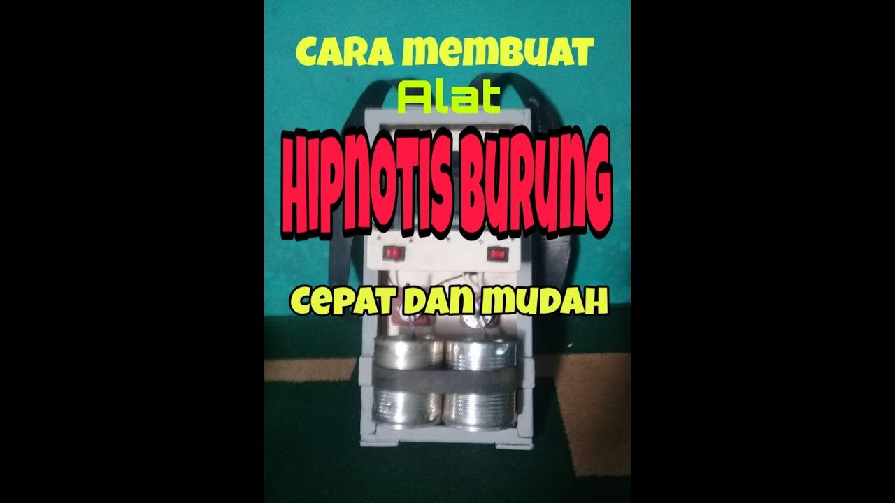 Cara membuat alat hipnotis burung yang cepat dan mudah - YouTube
