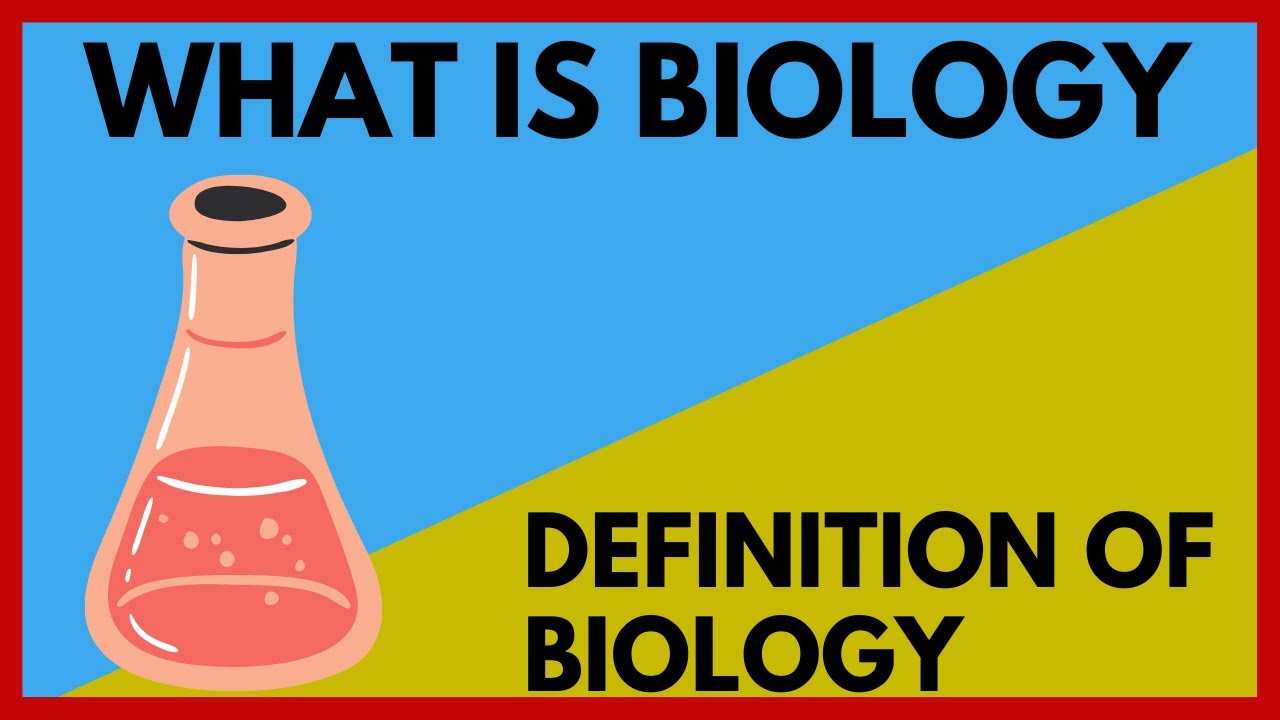 Definition of Biology in English | What is Biology - YouTube