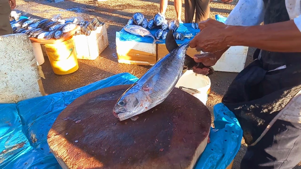 CUTTING FISH|CUTTING FISH SKILLS|CUTTING FISH VIDEO - YouTube