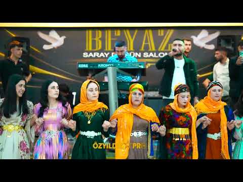 En Kalabalık Kürt Düğünü Halayı #halay #halaybasi #düğün #halaymashup #kurdish