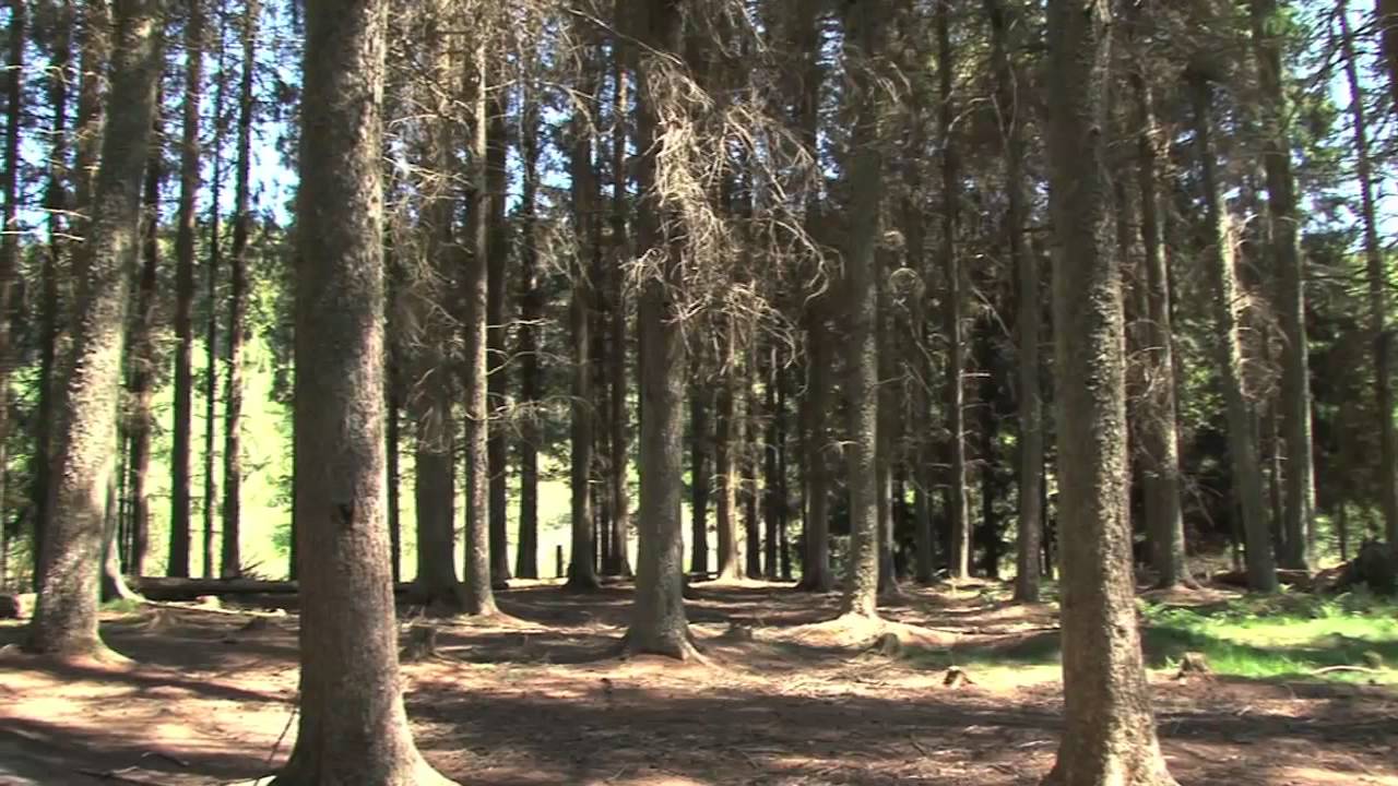 Art and Architecture at Kielder Water & Forest Park - YouTube