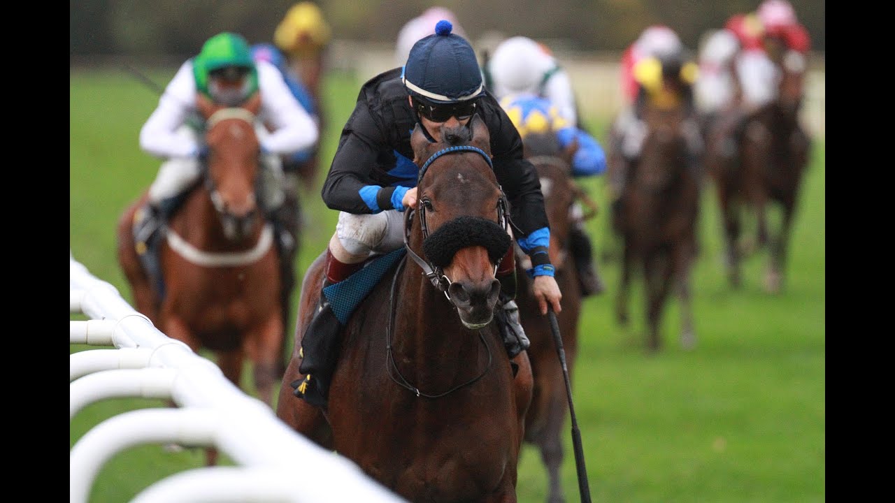 Hannover: Großer Campanologist-Preis (Listenrennen) - Siegerin: Nausica ...