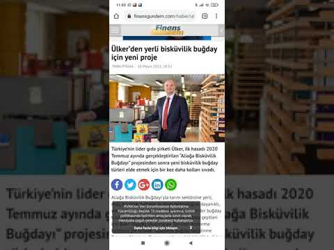 Ülker’den yerli bisküvilik buğday için yeni proje #ULKER