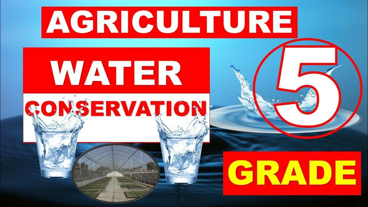 WATER CONSERVATION|| AGRICULTURE GRADE 5 - YouTube