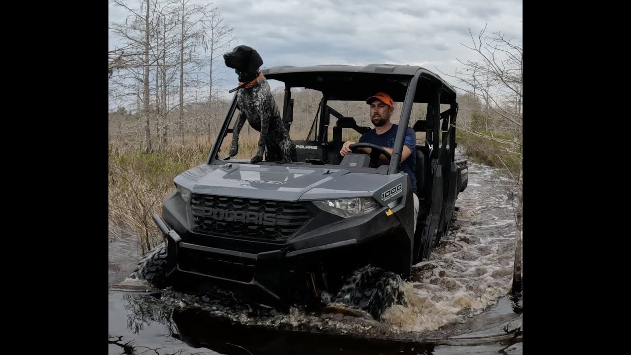 Epic Snipe Hunt! Surprise Boar Hog! {Harvest and Cook} - YouTube