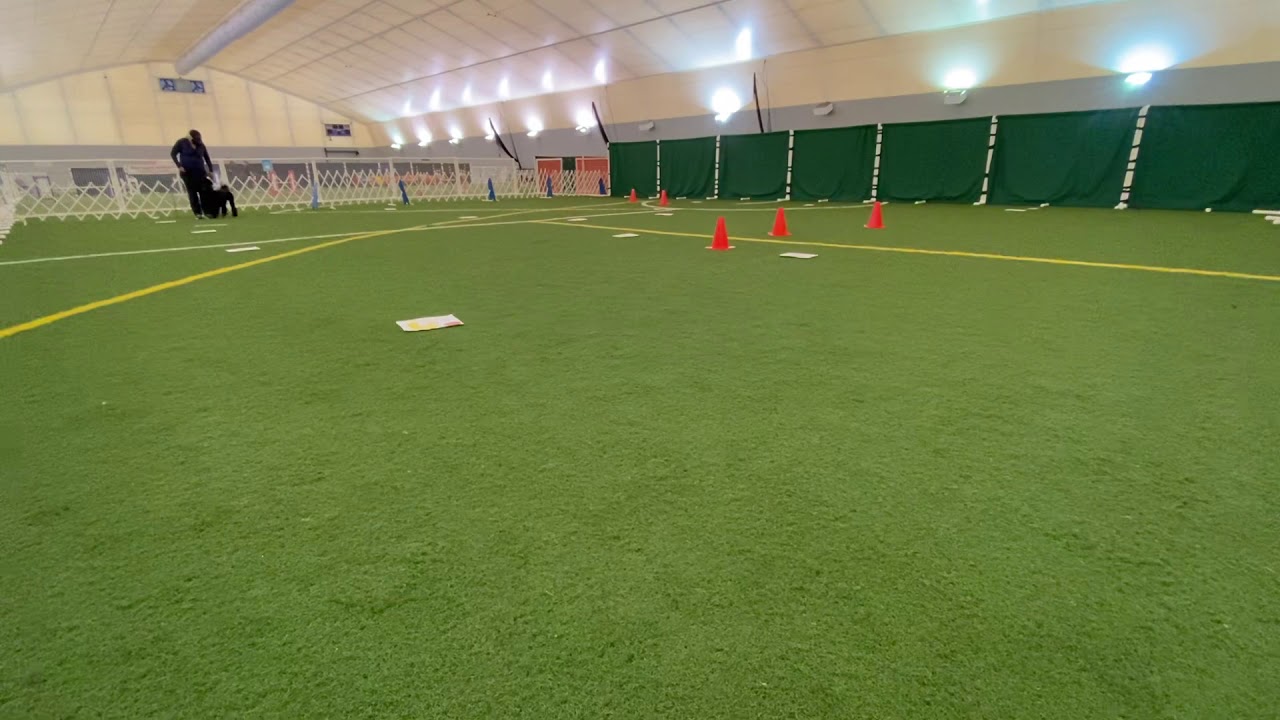 Rally Novice map 1 #2 - YouTube