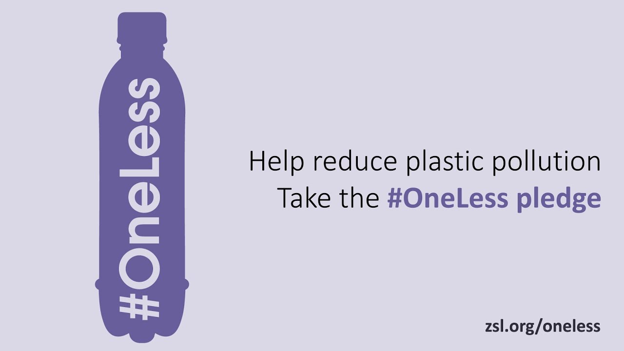 Can You Use Pledge On Plastic at Karen Medina blog